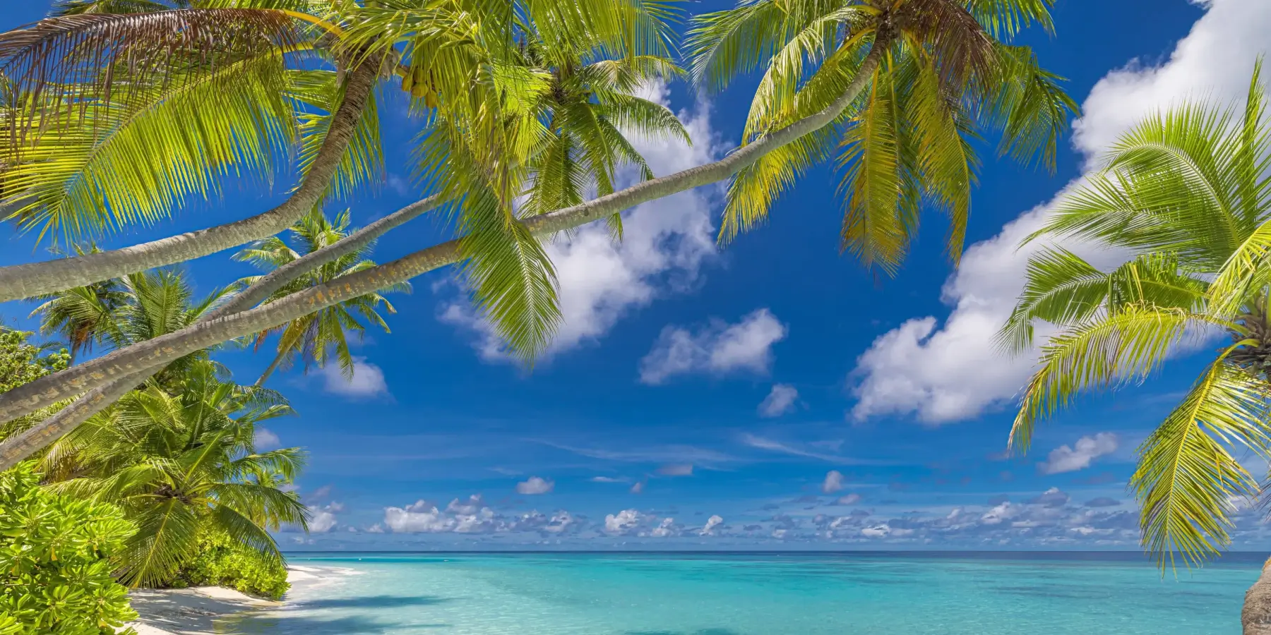 Raziščite Bahame z osupljivimi plažami in živahno kulturo | Relax ...