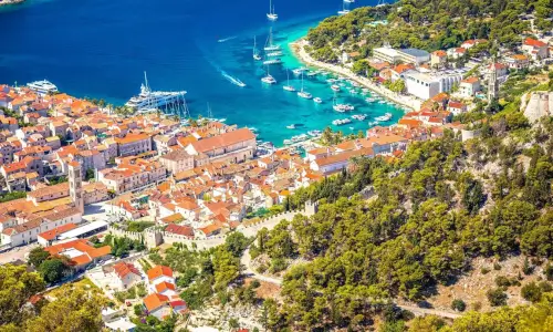 Olive Picking Experience na otoku Hvar | Relax turizem d.d.